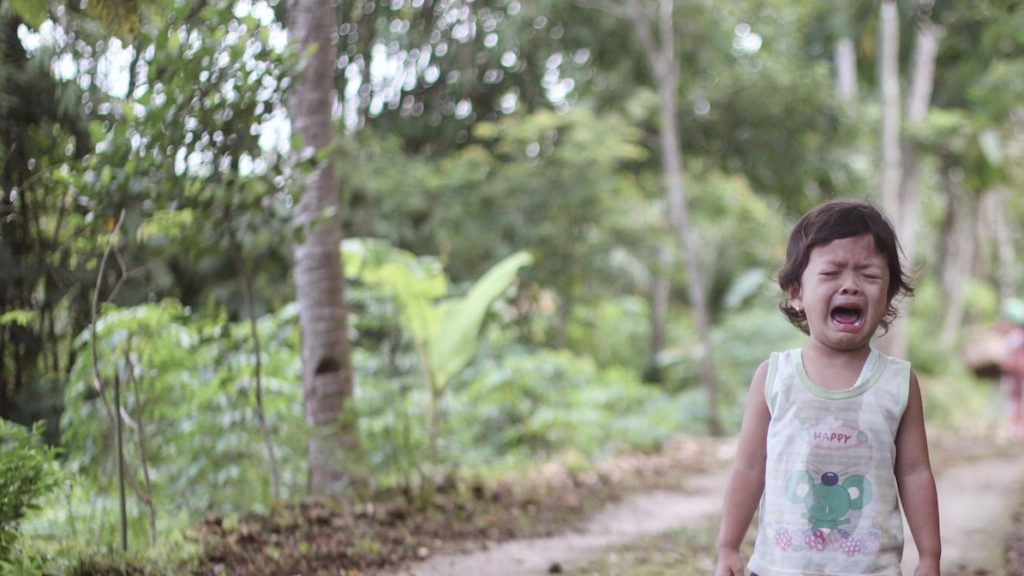 Collaborative Parenting - Creating a Family