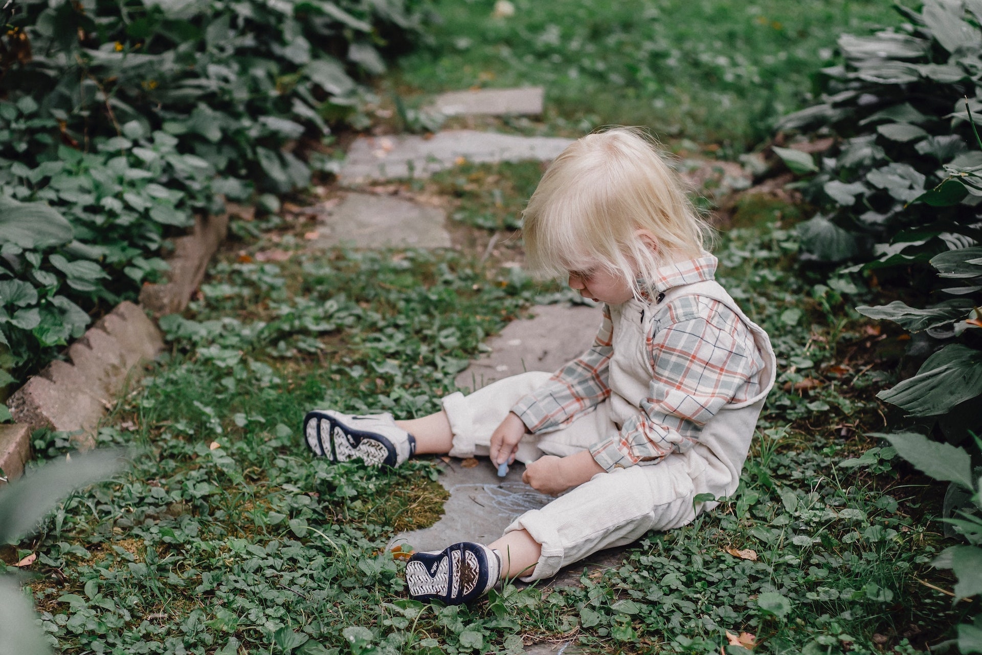 Curriculum Library - Creating a Family